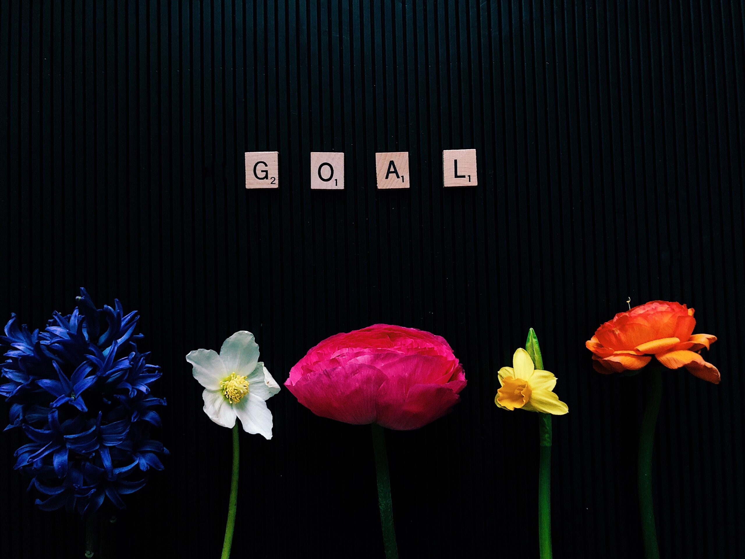 From Dreams to Reality: Creating Your Personal Life Plan to Achieve ...